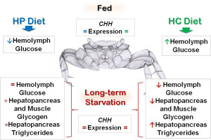 Does crab have glucose?