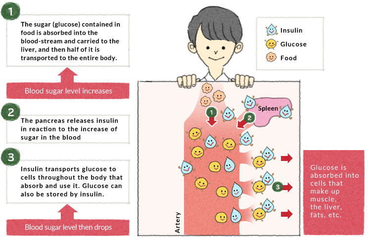 Does dairy cause blood sugar to rise?