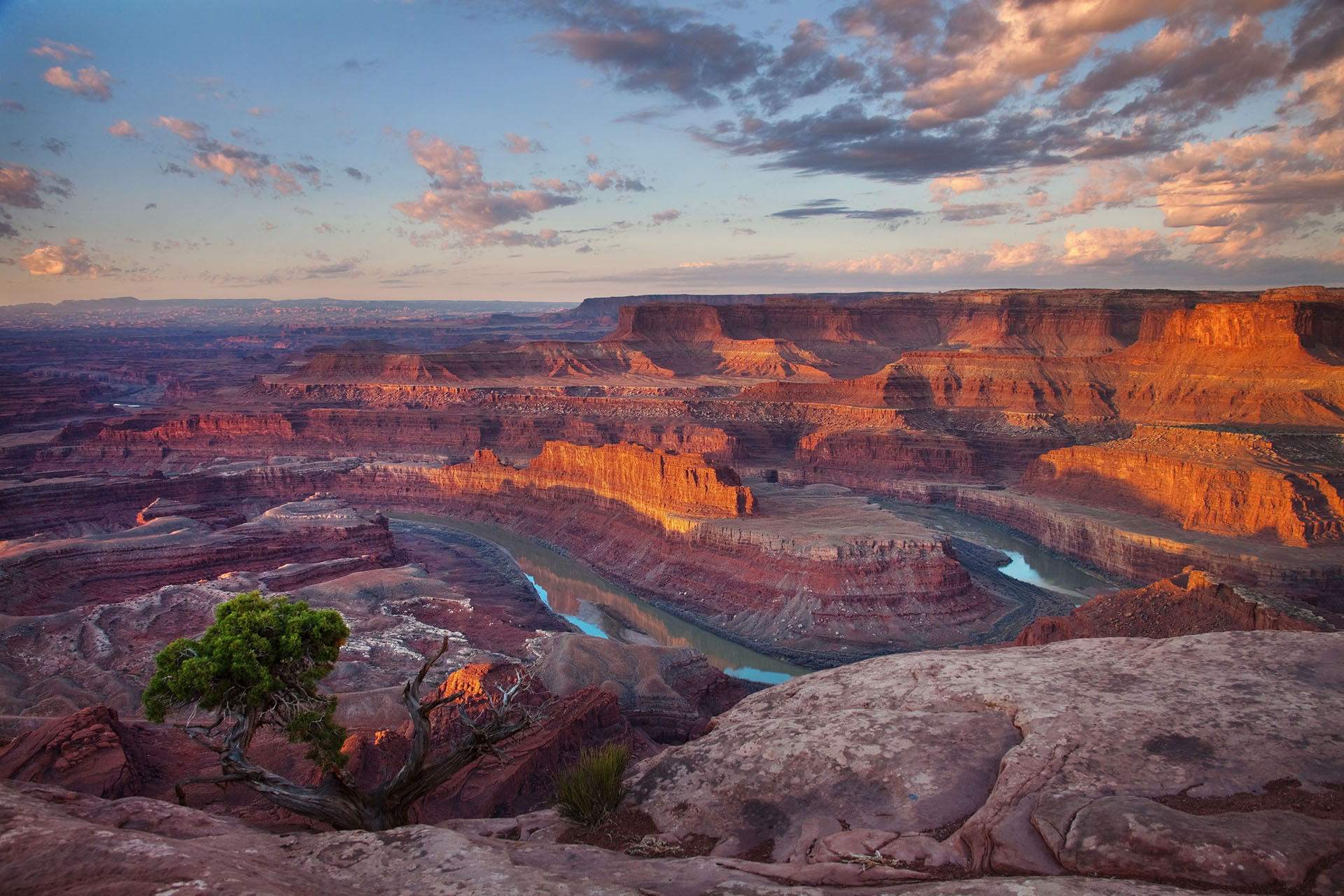 Does Dead Horse Point State Park allow dogs?