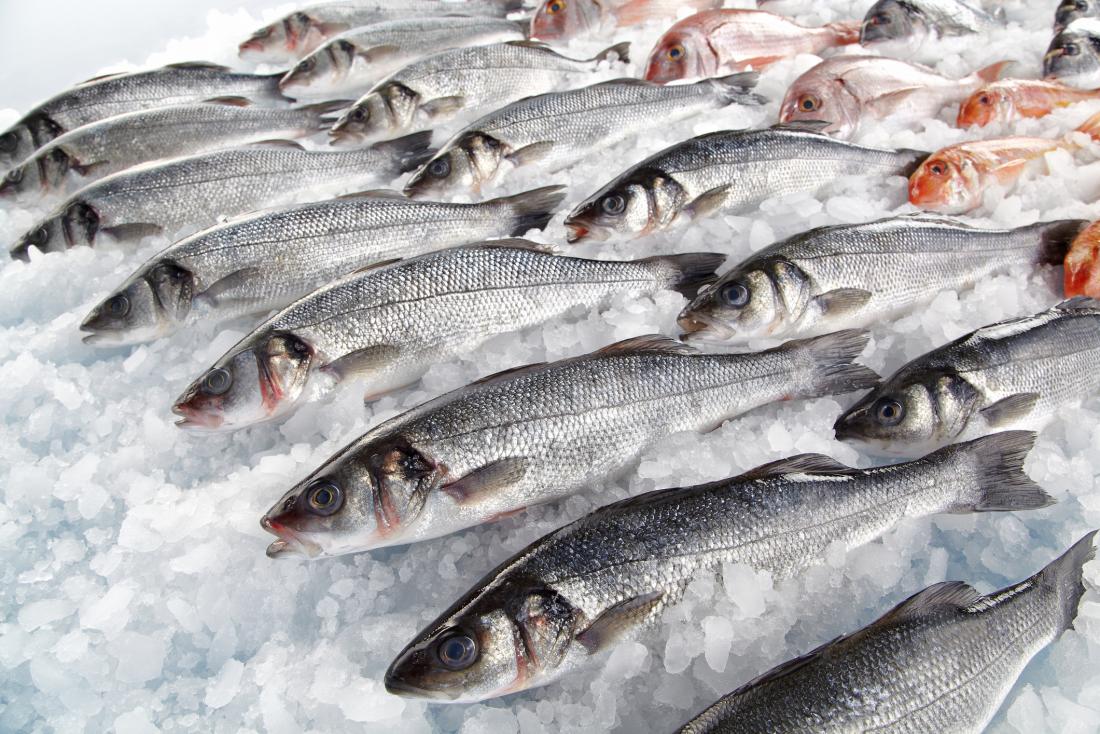 Does eating fish shorten your life?