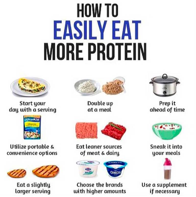 Does eating more protein help with muscle recovery?