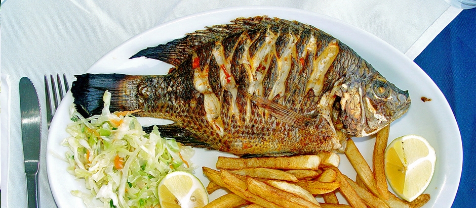 Does eating tilapia make you poop?