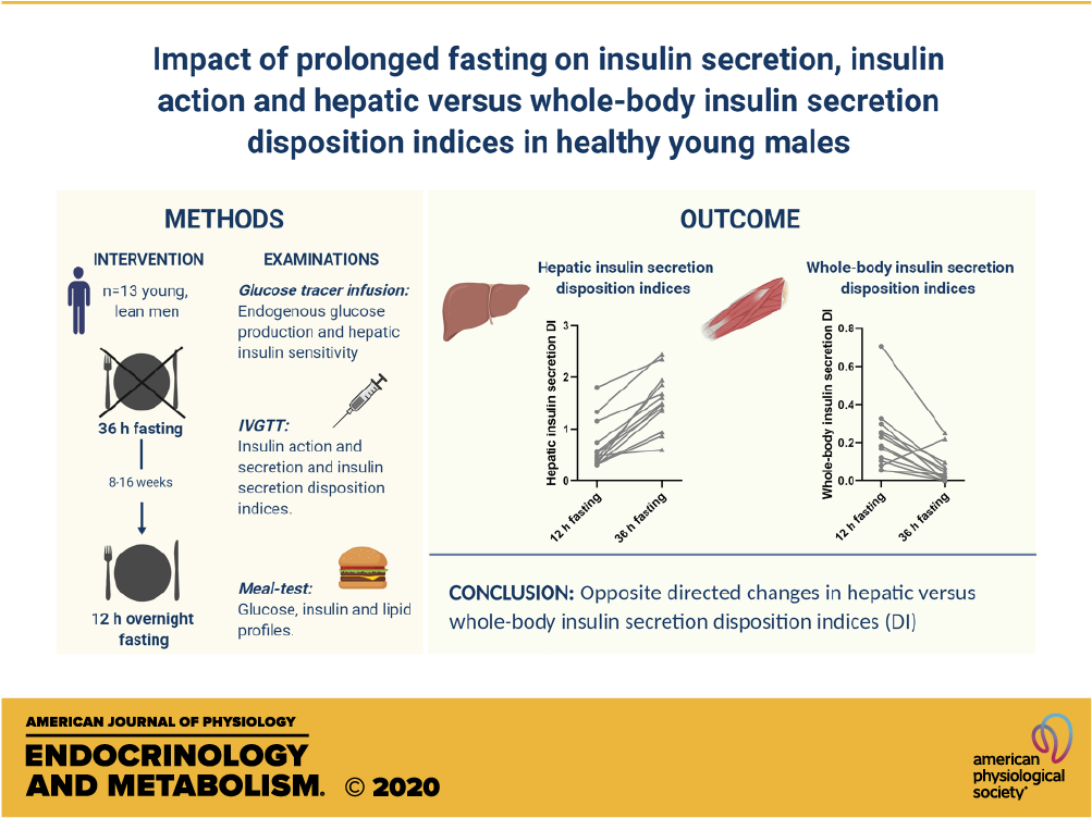 Does exercise increase fasting insulin?