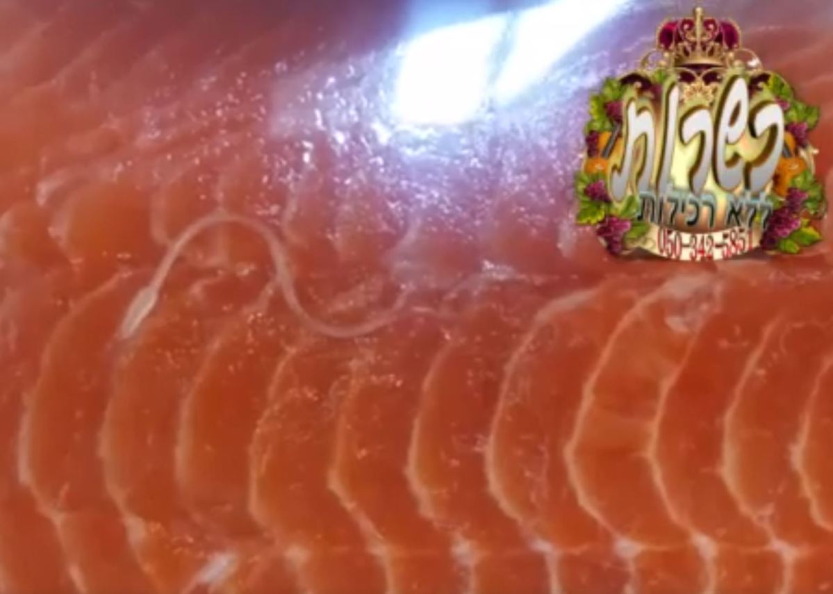 Does farmed salmon have tapeworms?