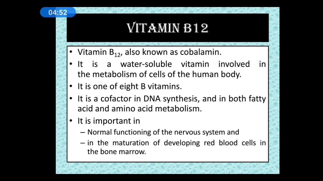 Does fermentation produce vitamin B12?