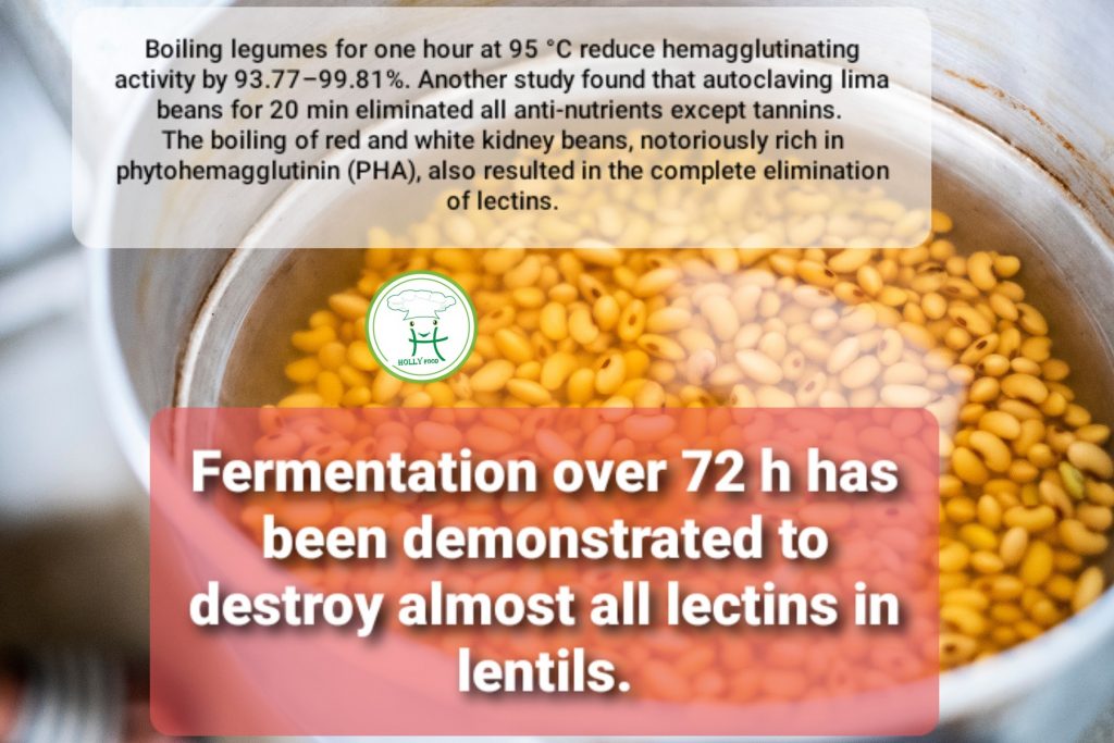 Does fermentation reduce lectins?