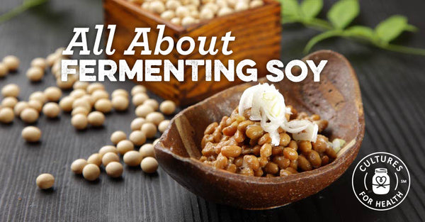 Does fermenting make soybeans more nutritious?