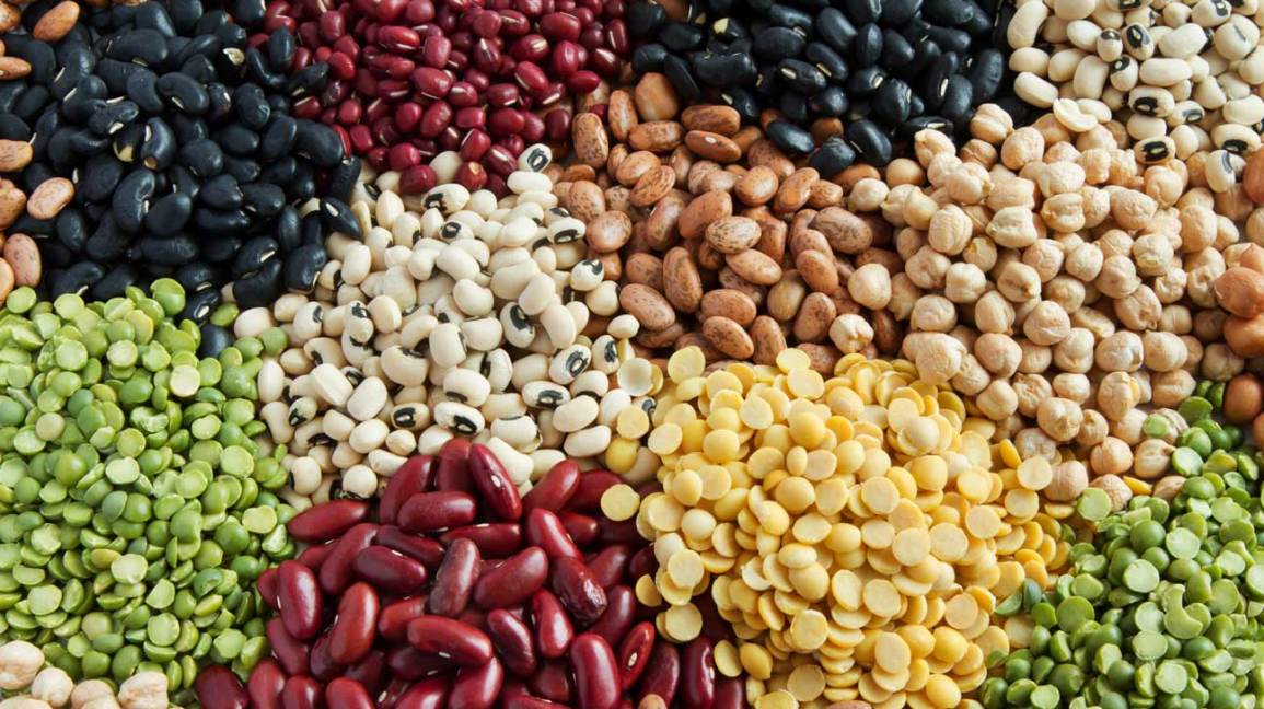 Does fiber make you gain or lose weight?