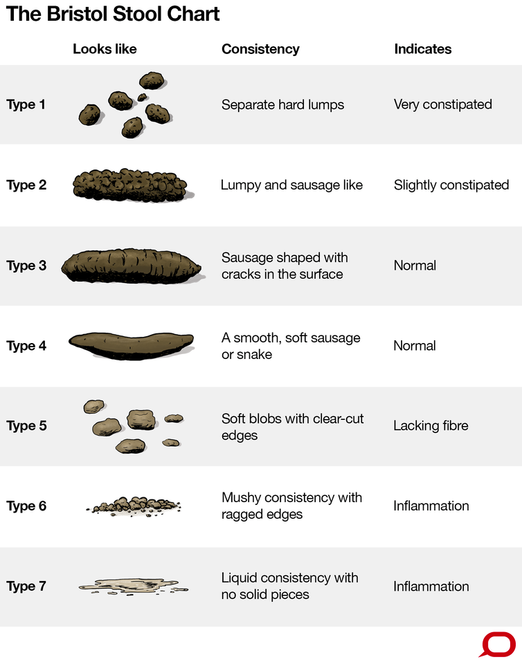 Does fiber make your poop more or less solid?