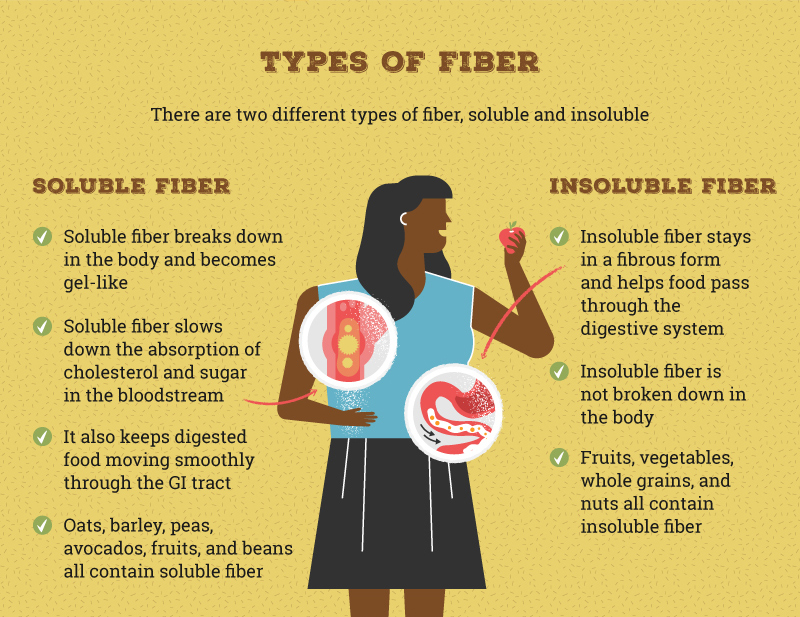 Does fiber slow absorption?