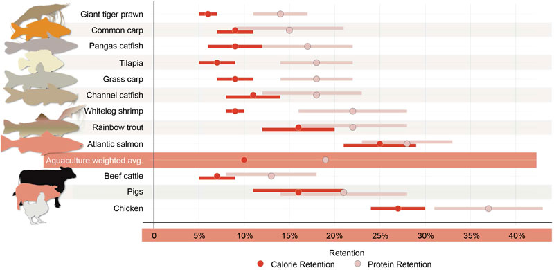 Does fish or chicken have more calories?