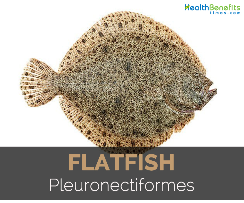 Does flat fish have omega-3?