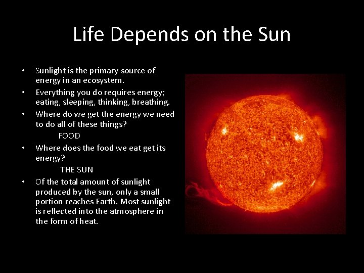 Does food rely on the sun?