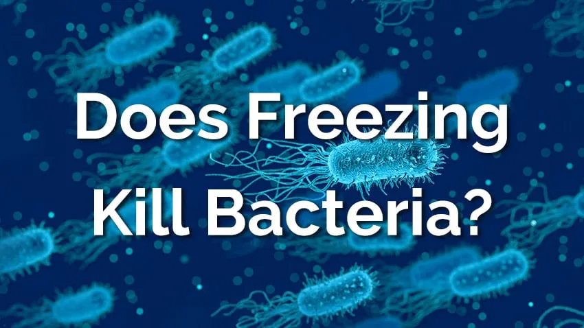 Does freezing kill any germs?