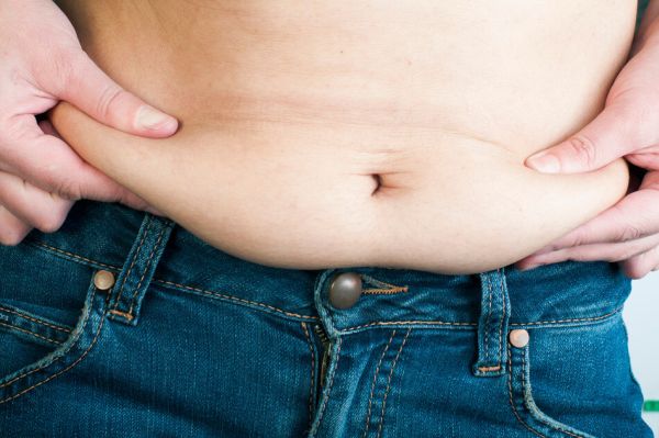 Does fructose cause belly fat?