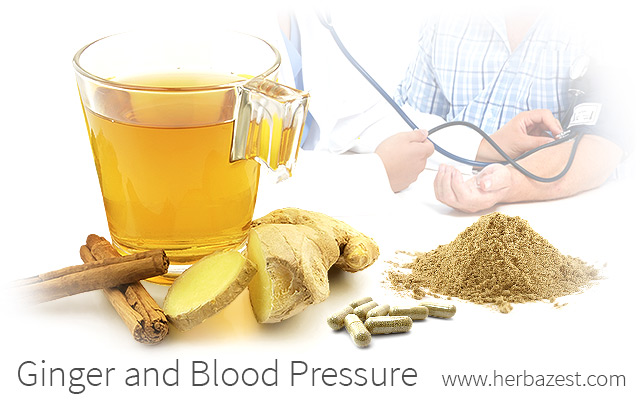 Does ginger raise blood pressure?