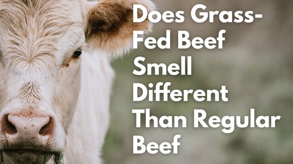 Does grass fed beef smell different when cooking?