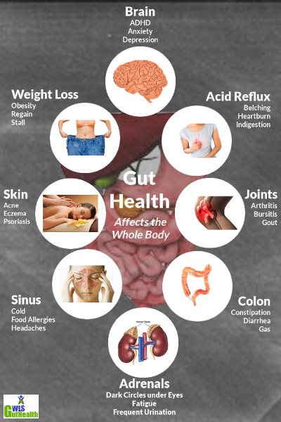 Does gut health affect everything?