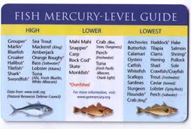 Does halibut have high mercury?