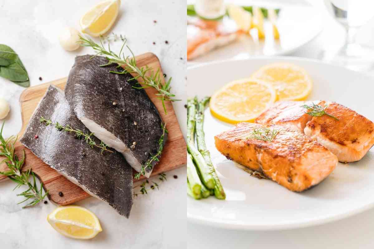 Does halibut have more protein than salmon?