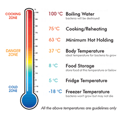 Does high heat kill bacteria in food?