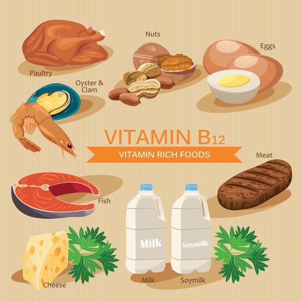 Does idli have vitamin B12?