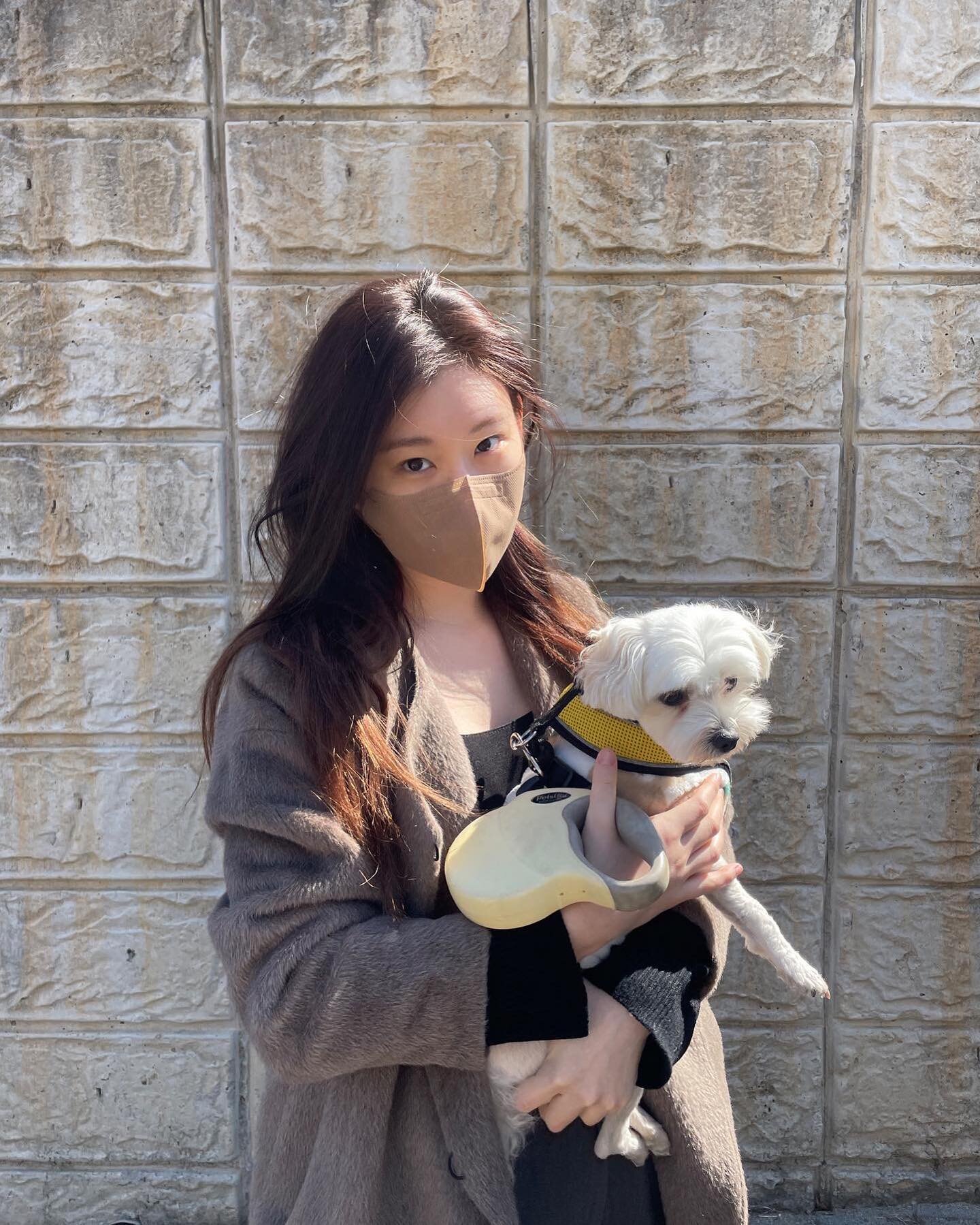 Does ITZY Chaeryeong have a pet?