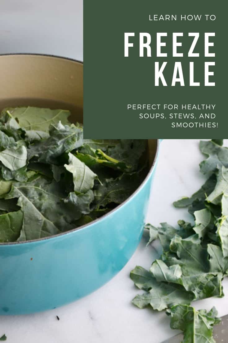 Does kale freeze well in soup?