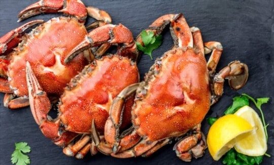 Does king crab taste like shrimp?
