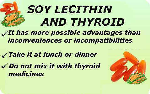 Does lecithin interfere with thyroid medication?