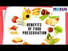 Does light affect food preservation?