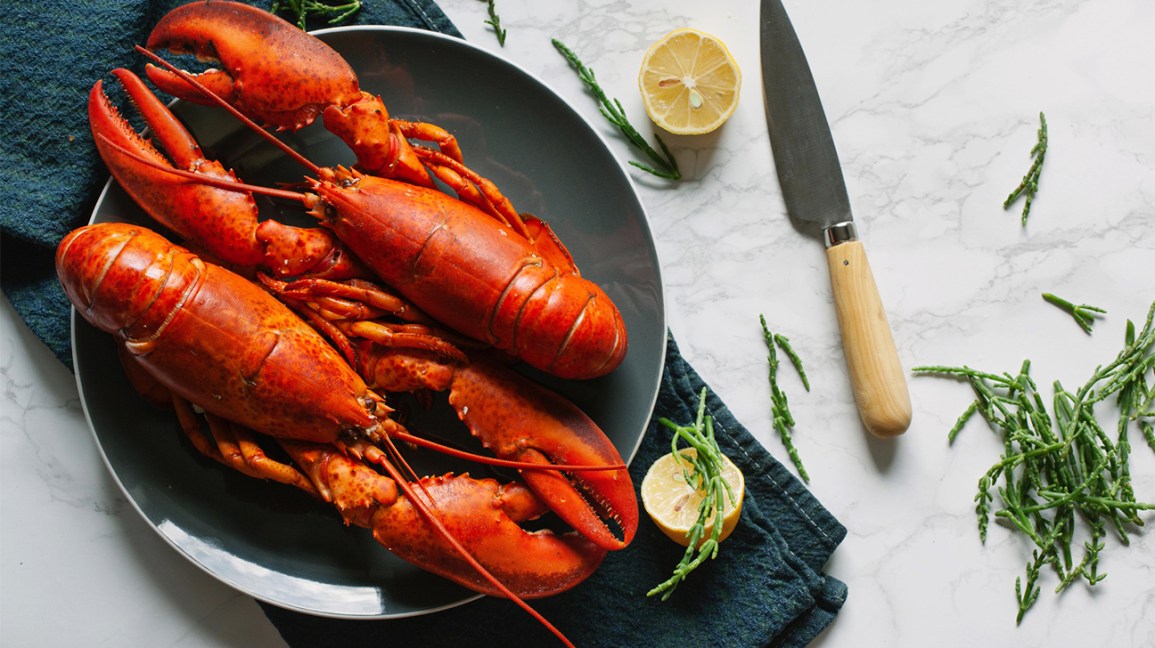 Does lobster count as seafood?