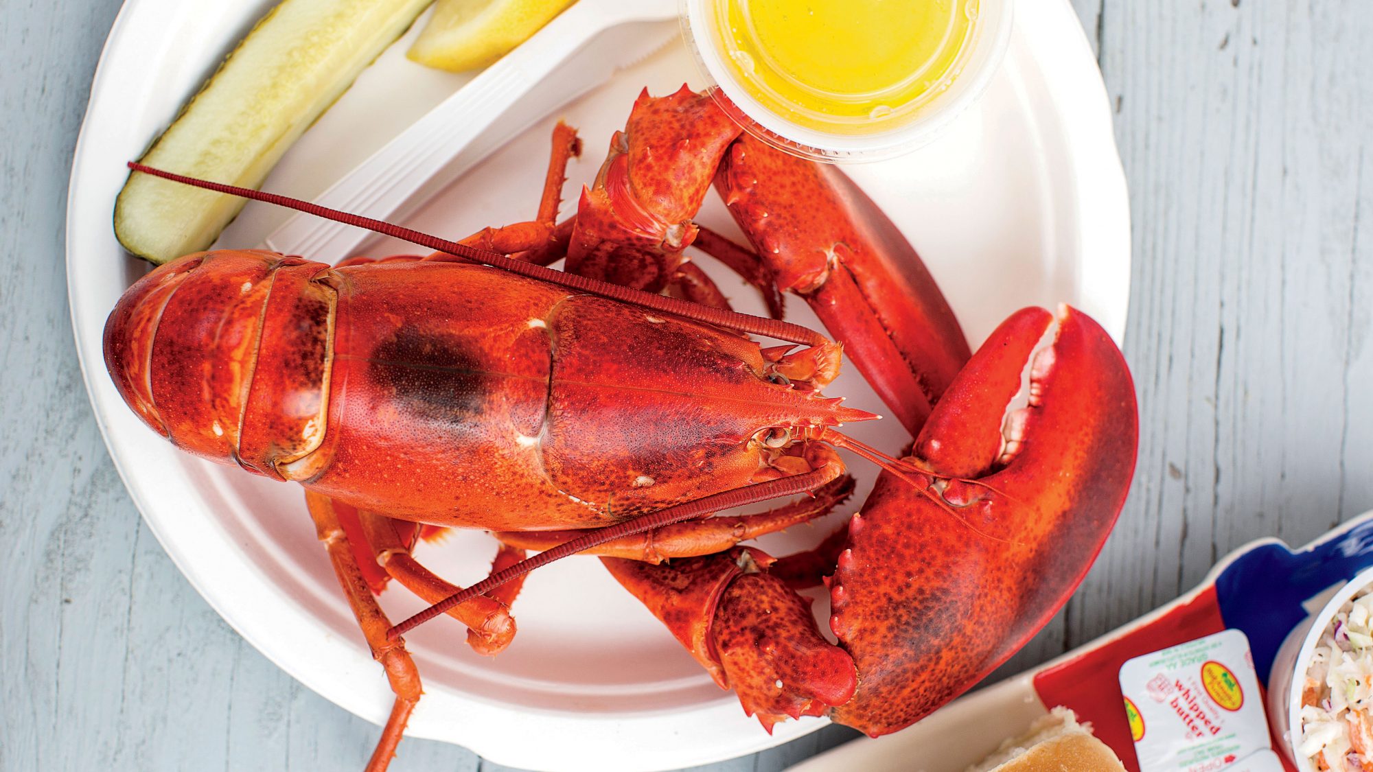 Does lobster have a season?
