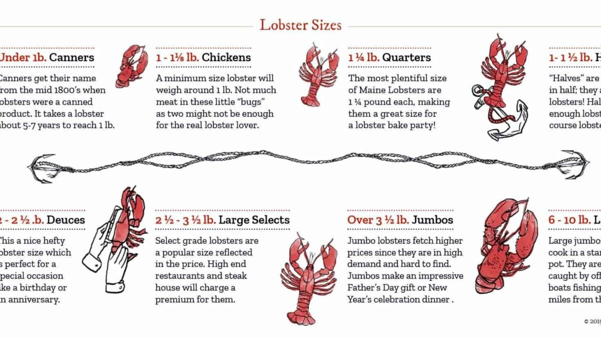 Does lobster size affect taste?