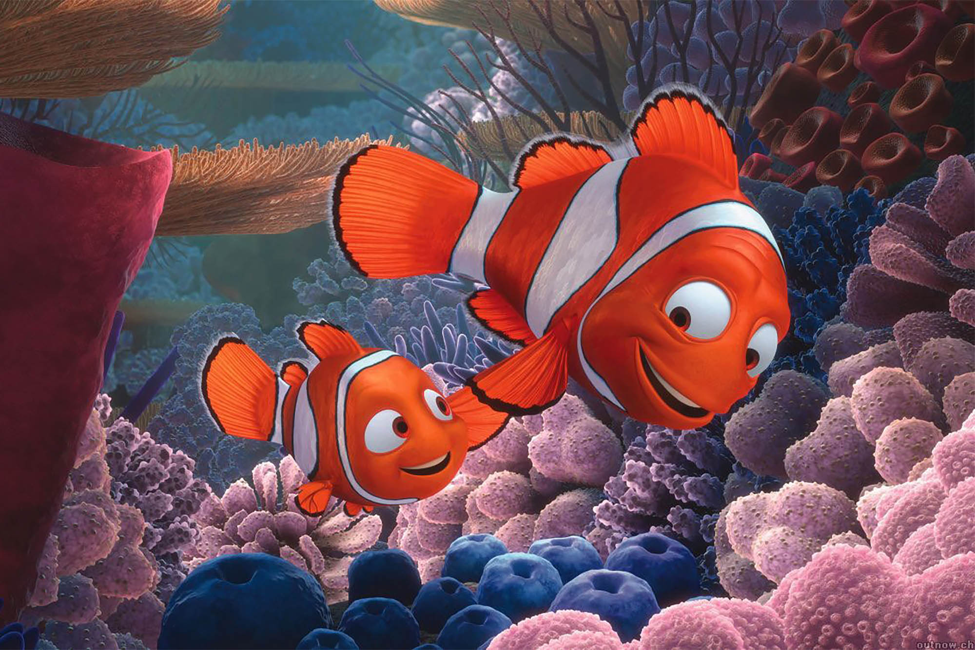 Does Marlin imagine Nemo?