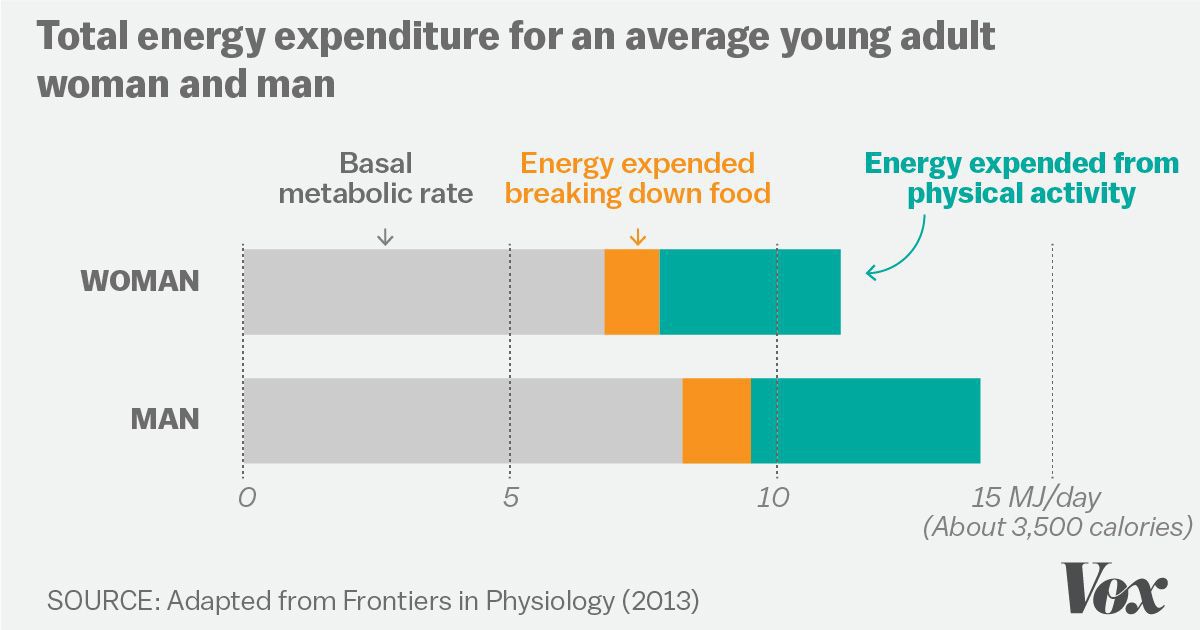 Does metabolism rate affect weight?