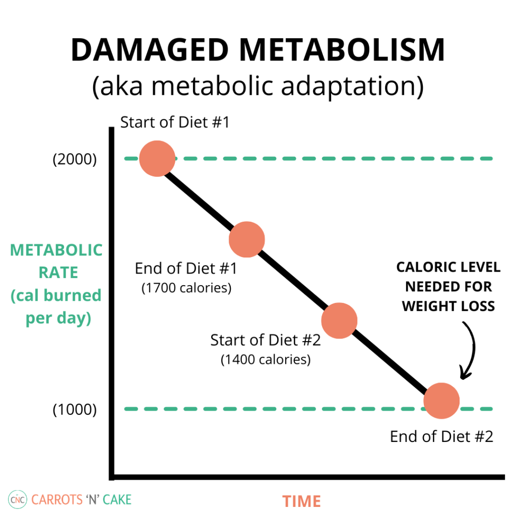 Does metabolism slow down when dieting?