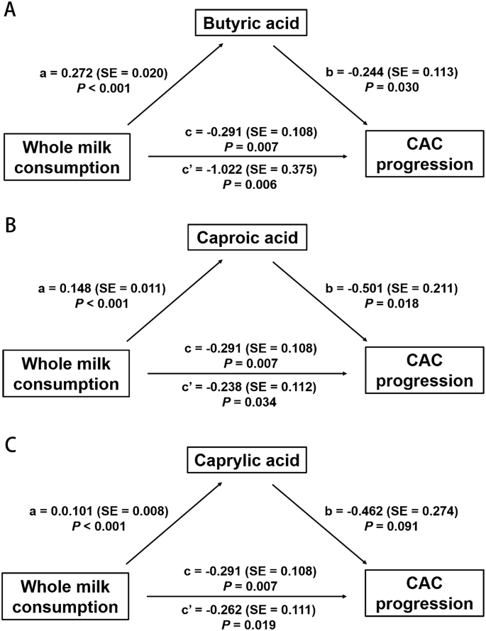 Does milk cause arterial calcification?