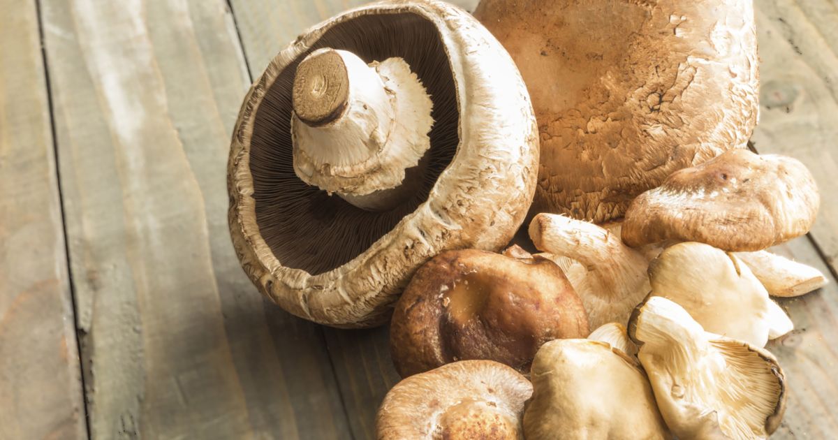 Does mushroom reduce inflammation?