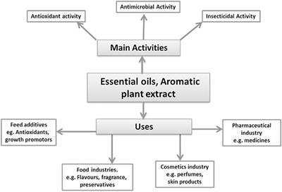 Does oil act as a preservative?