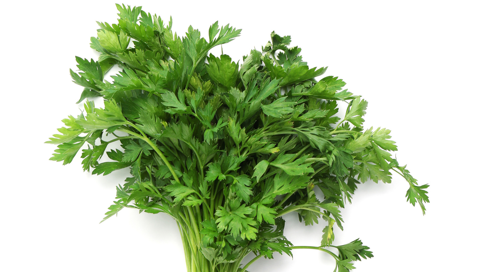 Does parsley have a strong taste?