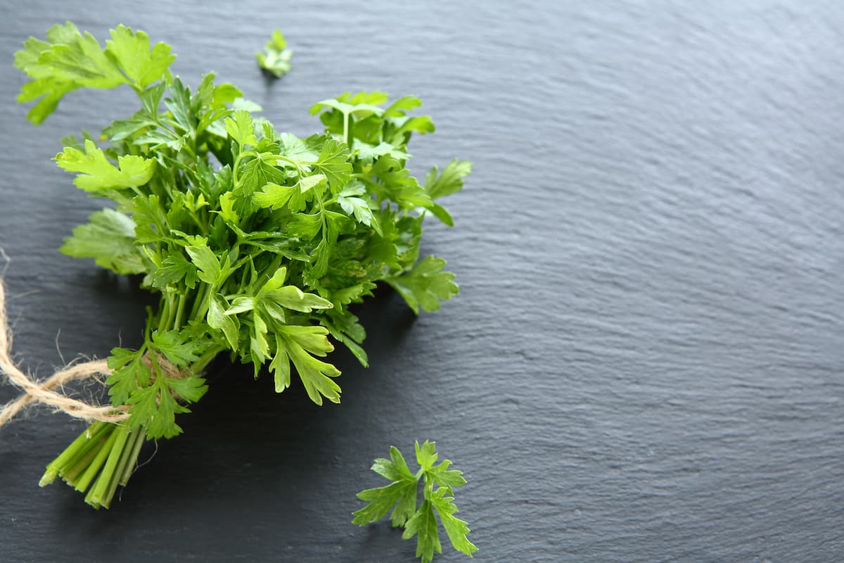 Does parsley make soup bitter?