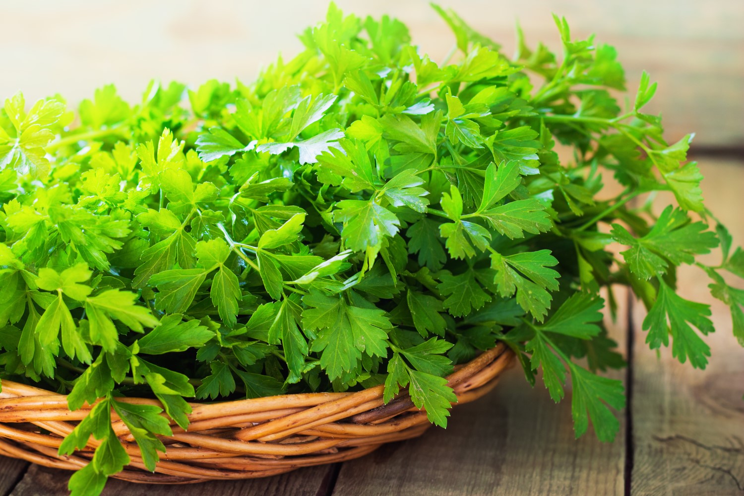 Does parsley take over a garden?