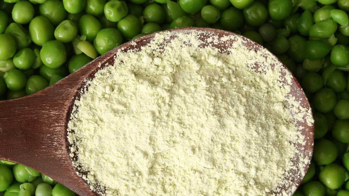 Does pea protein affect liver?