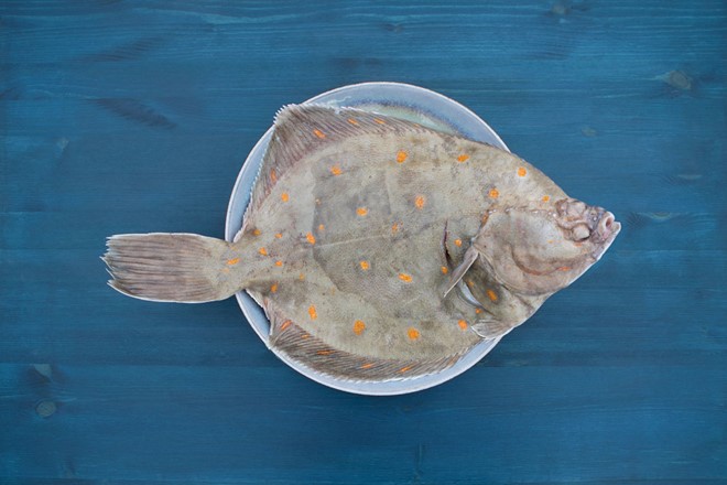 Does plaice taste like flounder?