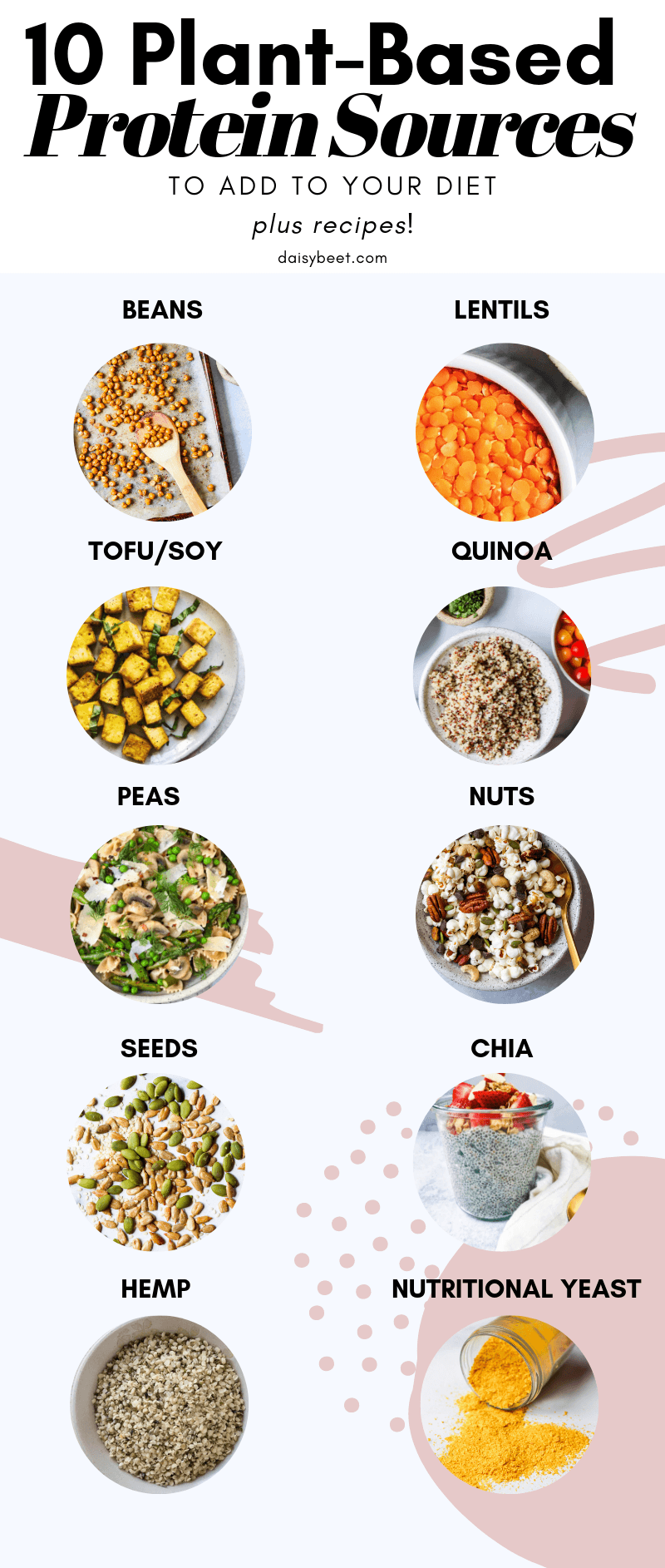 Does plant-based food have protein?