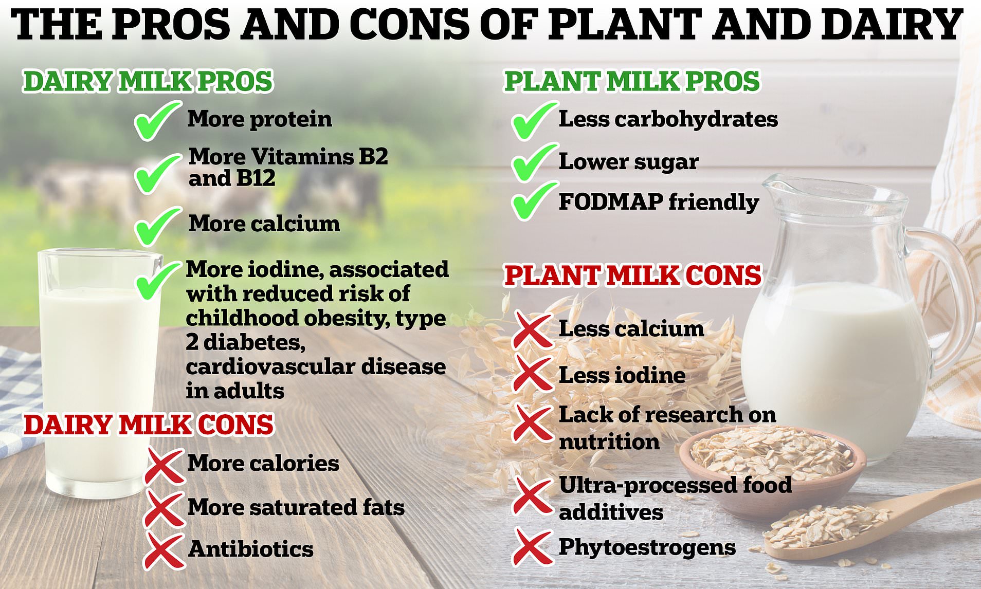 Does plant-based milk have more protein?