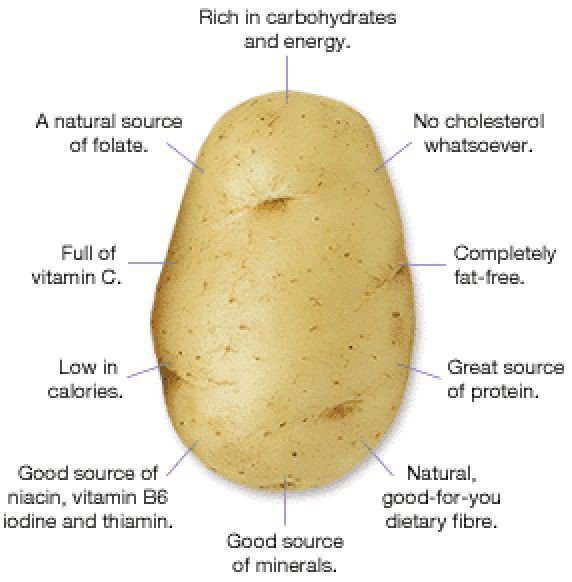 Does potato increase weight?