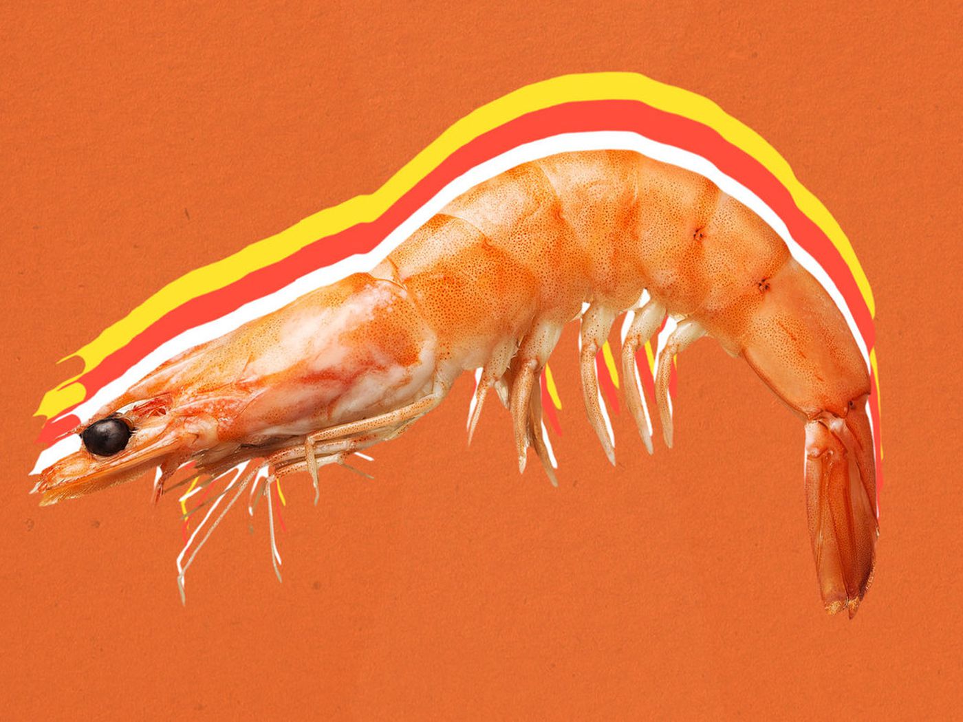 Does prawn have tail?