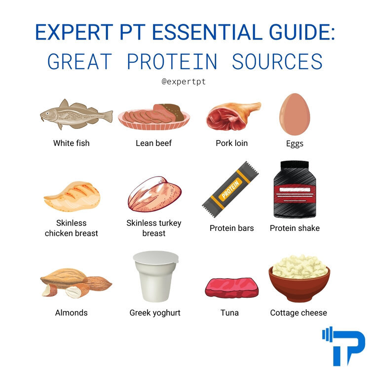 Does protein burn belly fat?